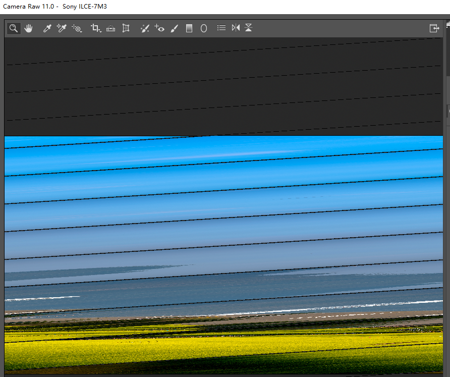 Ps Camera Raw 打开图像错位花屏原因-> PC 上的独立显卡背锅_ps花屏-CSDN博客