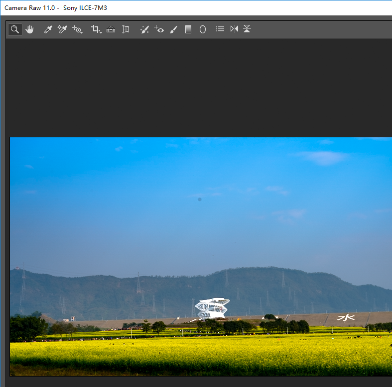 Ps Camera Raw 打开图像错位花屏原因-> PC 上的独立显卡背锅_ps花屏-CSDN博客