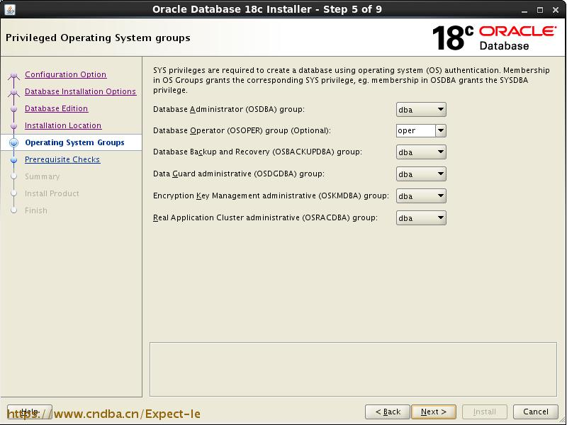 Oracle 18c DG搭建手册完整版(DBCA方式)_动态搭建手册正版下载-CSDN博客