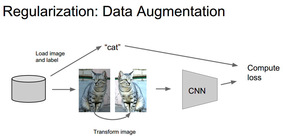 CNN笔记（CS231N）——训练神经网络II（Training Neural Networks, Part 2）_cnn=231-CSDN博客