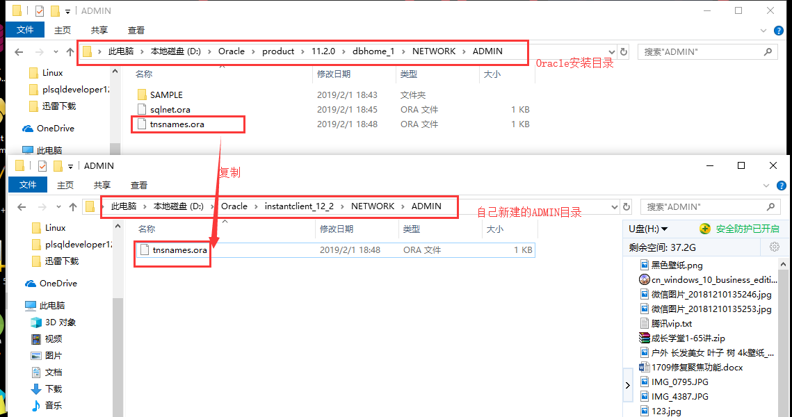 Plsql安装与配置instantclient Basic Windowsx64 122010zip Csdn博客 