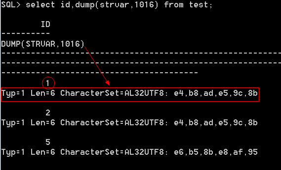 Oracle入门精读29-Oracle客户端字符集与NLS_LANG环境变量_oracle nls lang-CSDN博客
