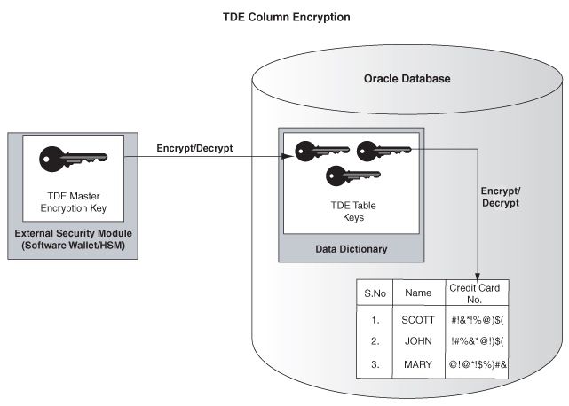 Oracle TDE透明加密研究以及测试_oracle 19c tde加密-CSDN博客