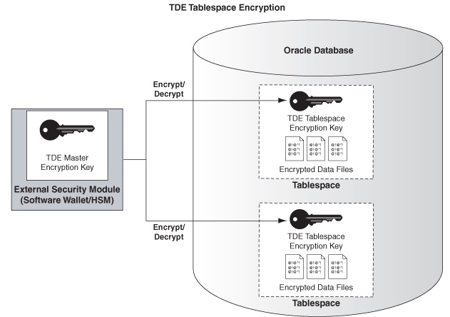 Oracle TDE透明加密研究以及测试_oracle 19c tde加密-CSDN博客