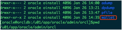 Oracle TDE透明加密研究以及测试_oracle 19c tde加密-CSDN博客