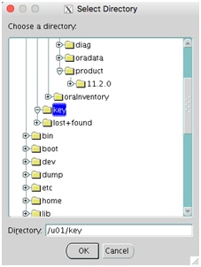 Oracle TDE透明加密研究以及测试_oracle 19c tde加密-CSDN博客