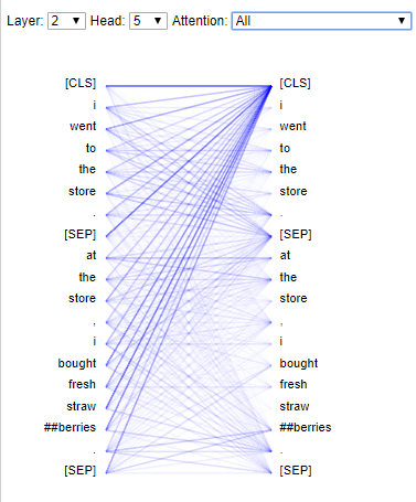 BERT可视化工具bertviz体验_开发工具_段智华的博客-CSDN博客