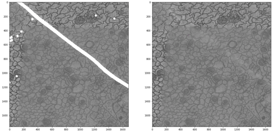 Image Inpainting for Irregular Holes Using Partial Convolutions理解与电镜图像 ...
