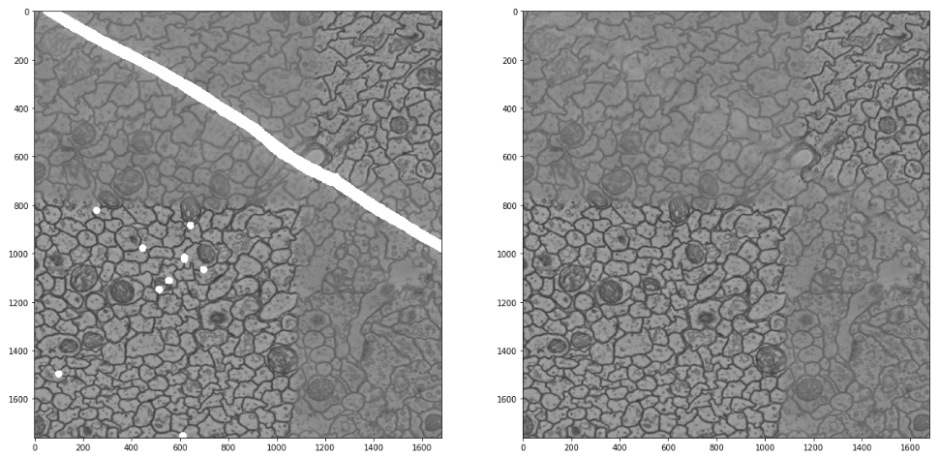 Image Inpainting for Irregular Holes Using Partial Convolutions理解与电镜图像 ...