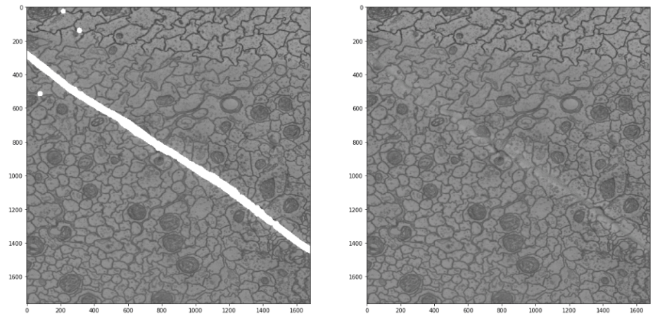 Image Inpainting for Irregular Holes Using Partial Convolutions理解与电镜图像 ...