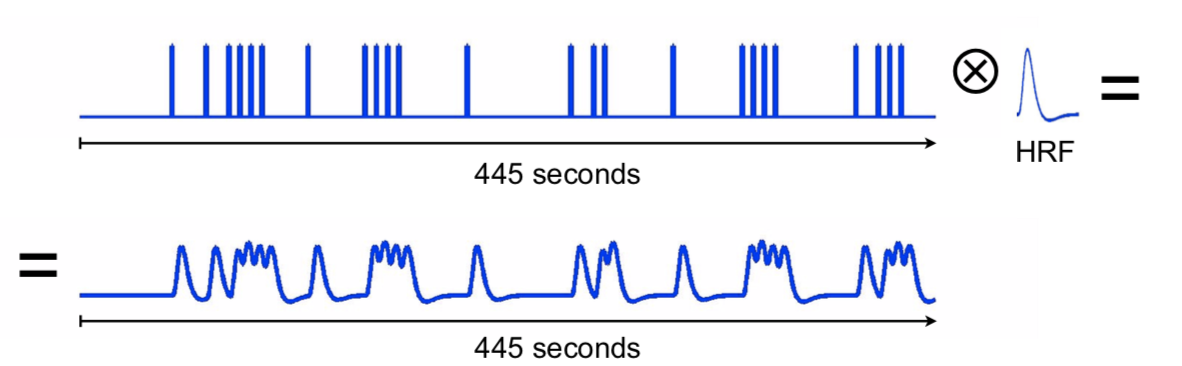 FSL 功能磁共振影像分析： single-session_核磁两个功能session-CSDN博客