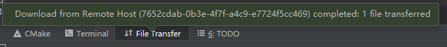 Windows CLion 远程Linux服务器 开发调试_远程控制linux cli-CSDN博客
