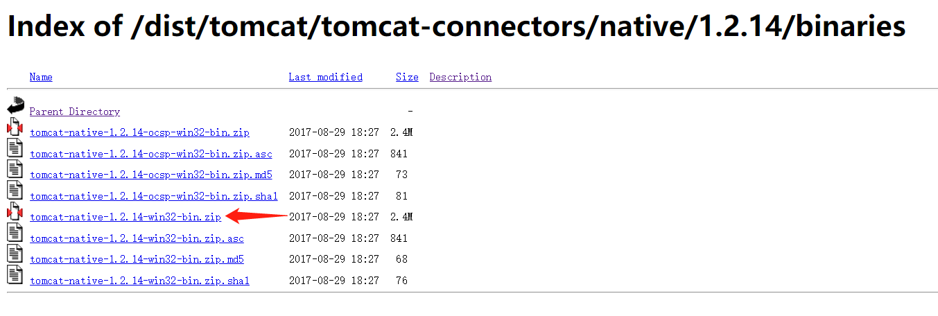 Spring Boot 启动错误：An incompatible version [1.1.30] of the APR based Apache Tomcat Native library ...