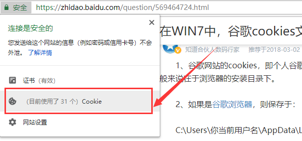 浏览器查看Cookie方法大全，网站Cookie查看方法，Chrome查看Cookie，IE查看Cookie-CSDN博客