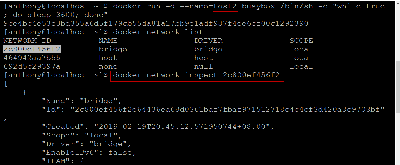 Docker基础-19-网络-bridge模式和docker0详解_bridege docker0-CSDN博客