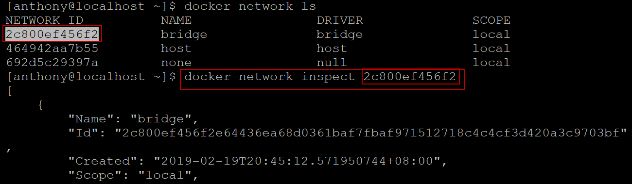 Docker基础-19-网络-bridge模式和docker0详解_bridege docker0-CSDN博客