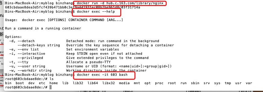 Docker运行nginx镜像 Csdn博客