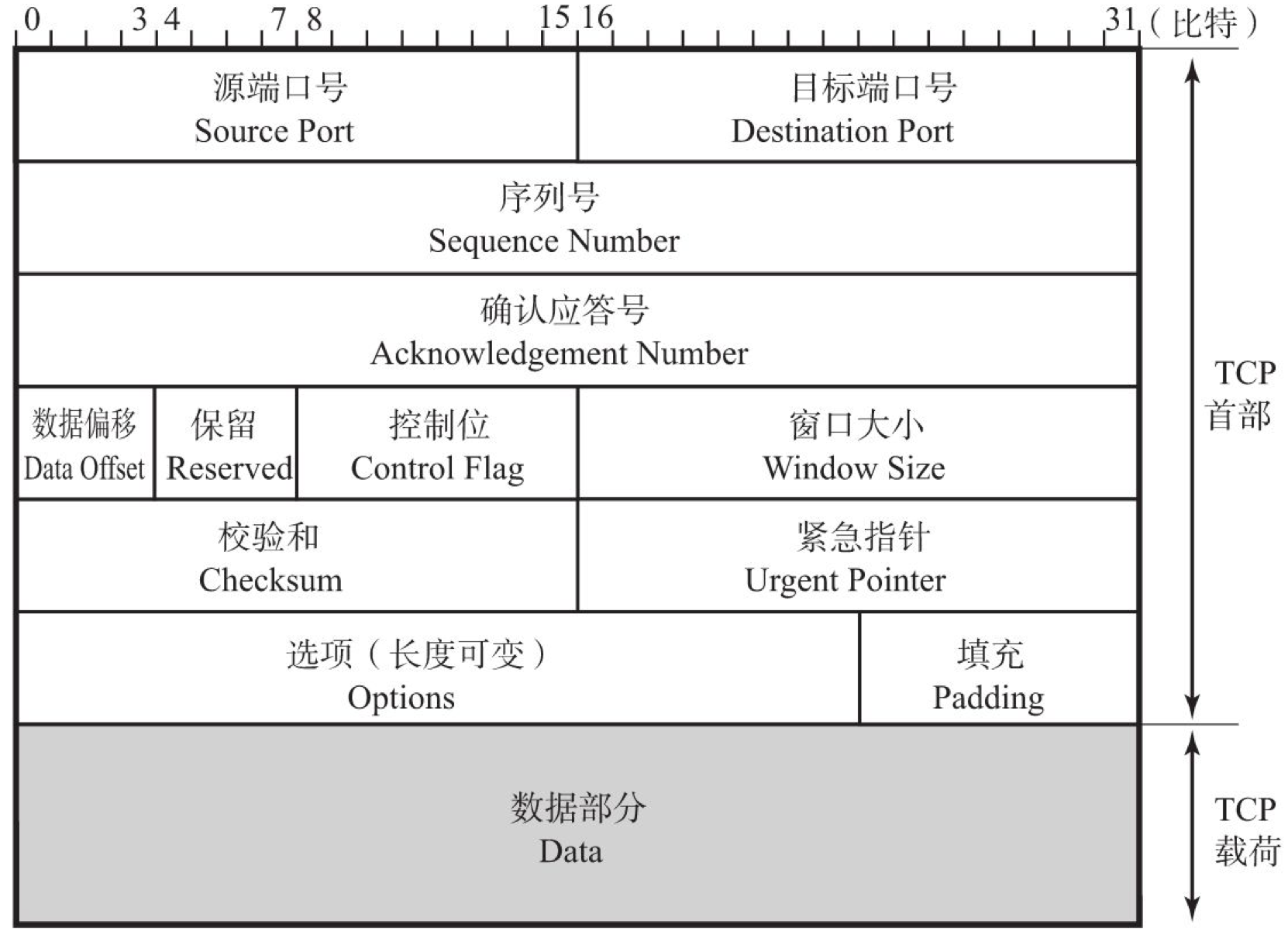 网络通信（二）：tcp 报头格式说明tcp标记字段ece Csdn博客