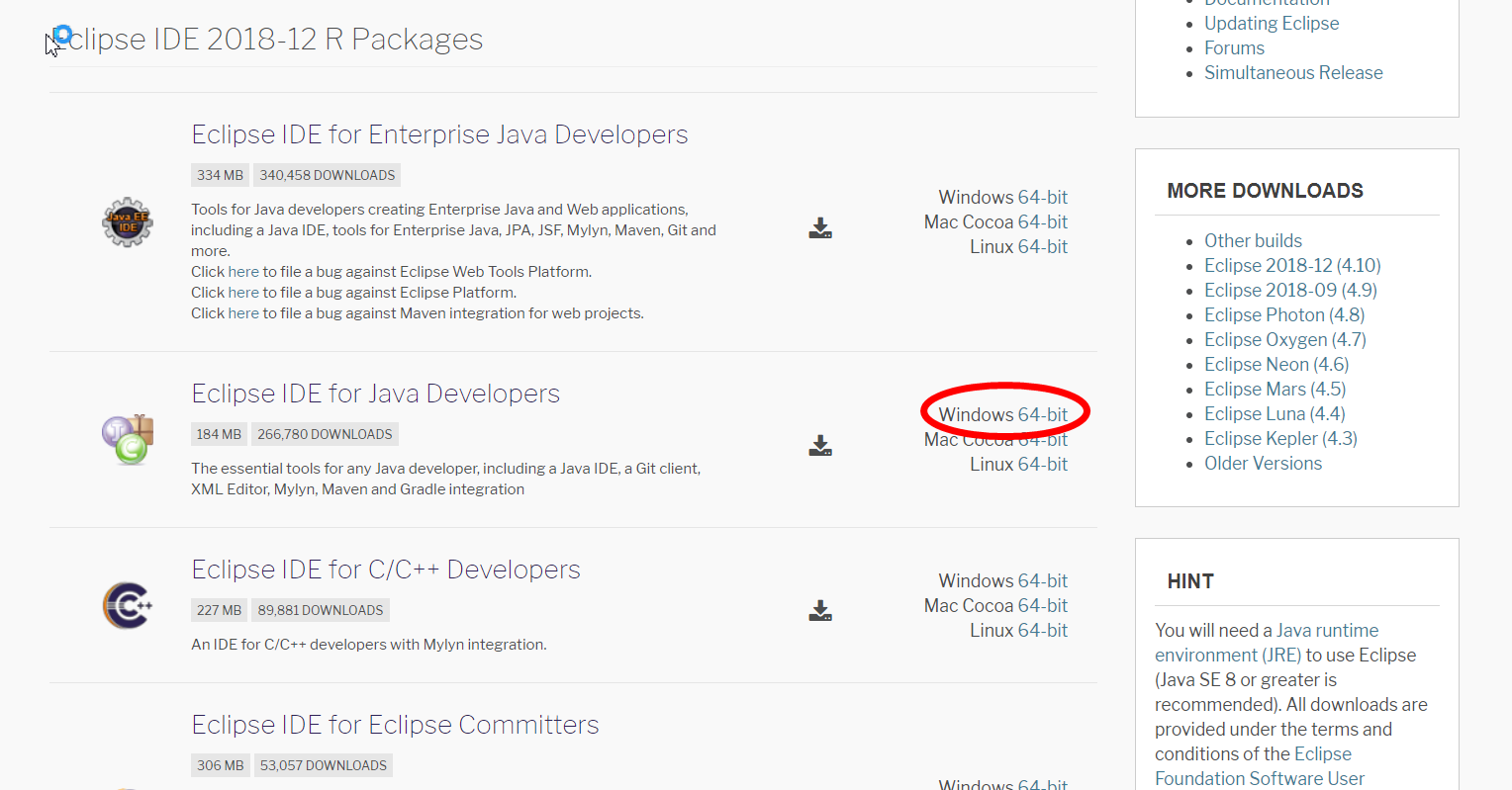 Java Se 11 0 2 Lts 安装、环境变量配置以及eclipse的下载安装 Win Java11 0 2 Csdn博客