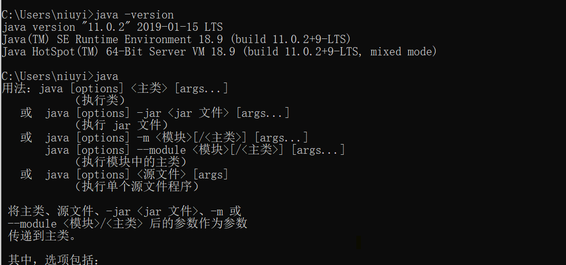 基于win10的java11环境配置guancunjie的博客 Csdn博客 