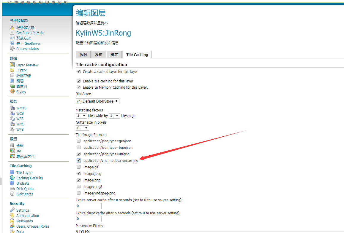 GeoServer发布mapbox vector tile (MVT)并在地图上展示（符号化）_geoserver mvt-CSDN博客