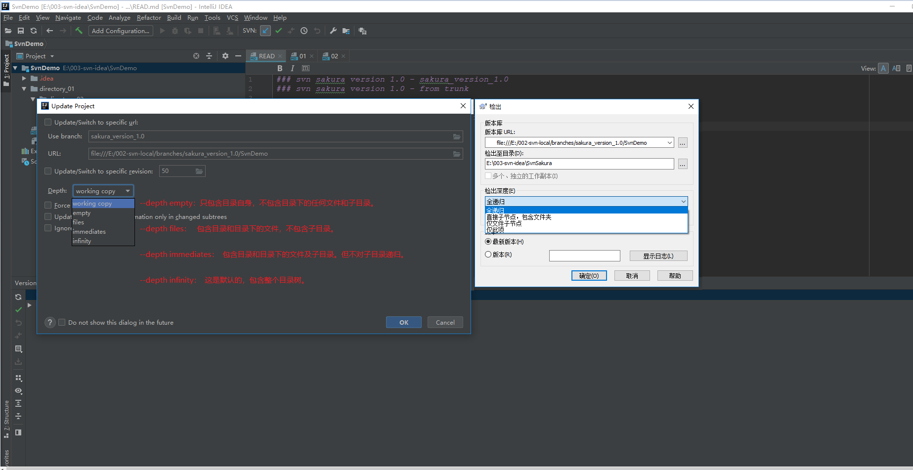 svn 检出操作的检出深度（Depth）_svn检出选项depth-CSDN博客