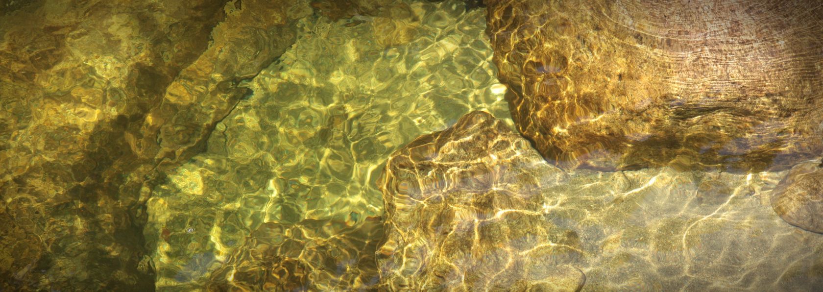【GPU Gems 学习笔记】Rendering Water Caustics_水面上caustic 灯光意思-CSDN博客