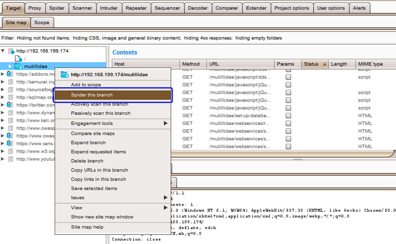 BurpSuite使用详解（三）Spider功能_burpsuite爬虫不需要登录么-CSDN博客
