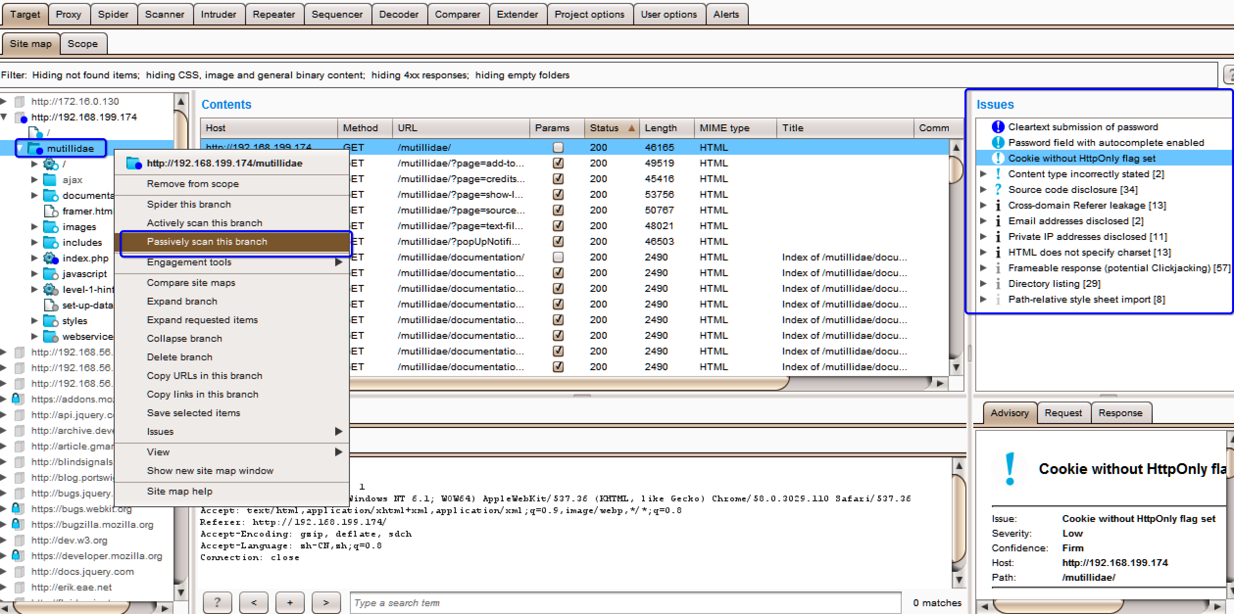 BurpSuite使用详解（四）Scanner功能_burp suite scanner-CSDN博客