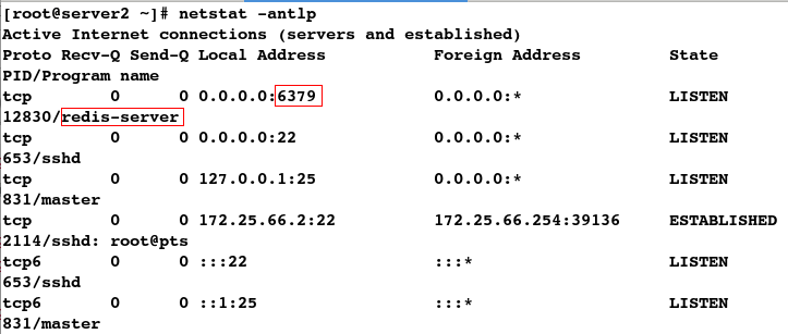 解决开启redis失败：/var/run/redis_6379.pid exists, process is already running or crashed问题-CSDN博客