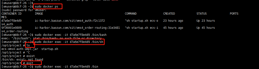 项目开发中简单使用的Linux命令查看docker相关情况_sudo docker ps -a sudo df -h 等-CSDN博客