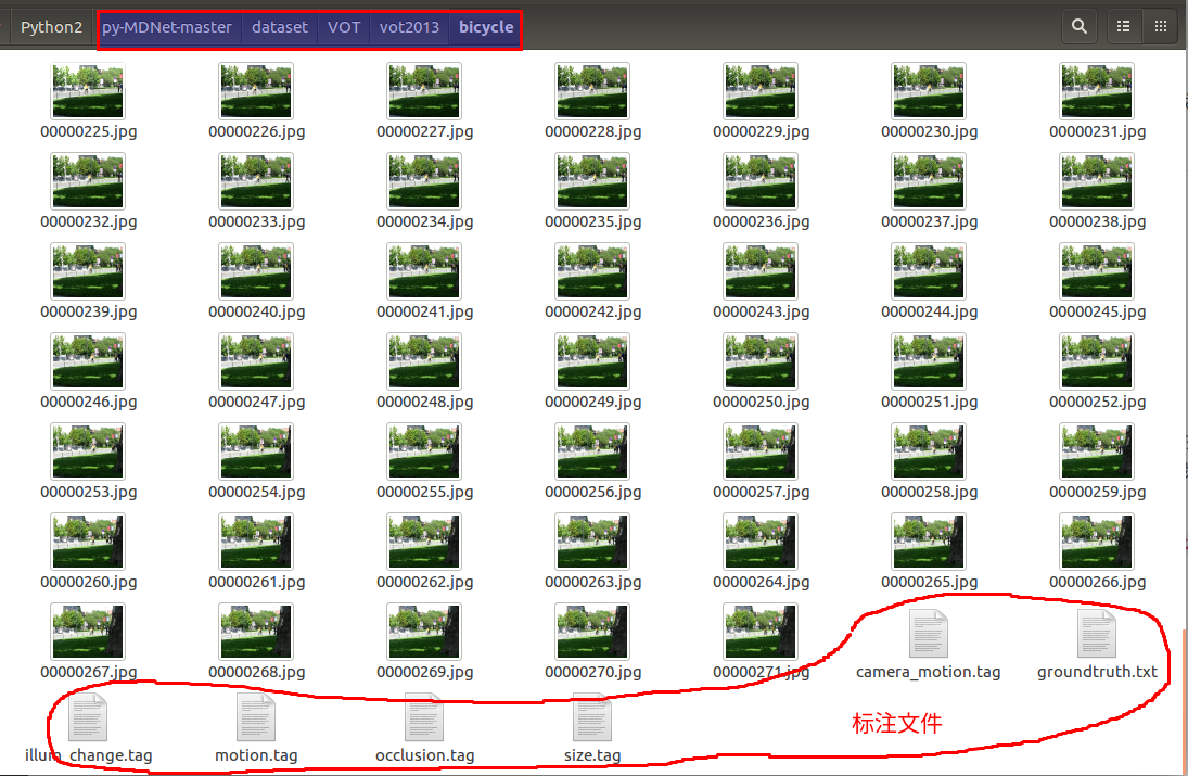 Mdnet视频目标跟踪源码运行笔记（python 2 7版本）——training And Then Testing模式 Mdnet Gui