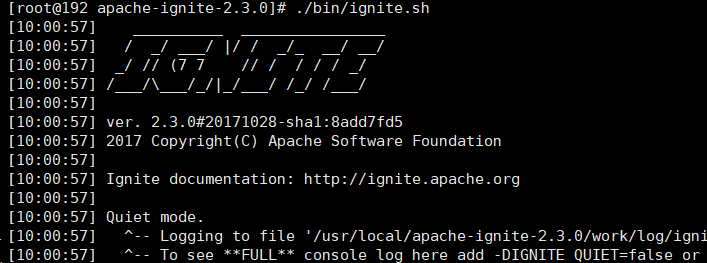 ignite安装与启动_ignite linux-CSDN博客