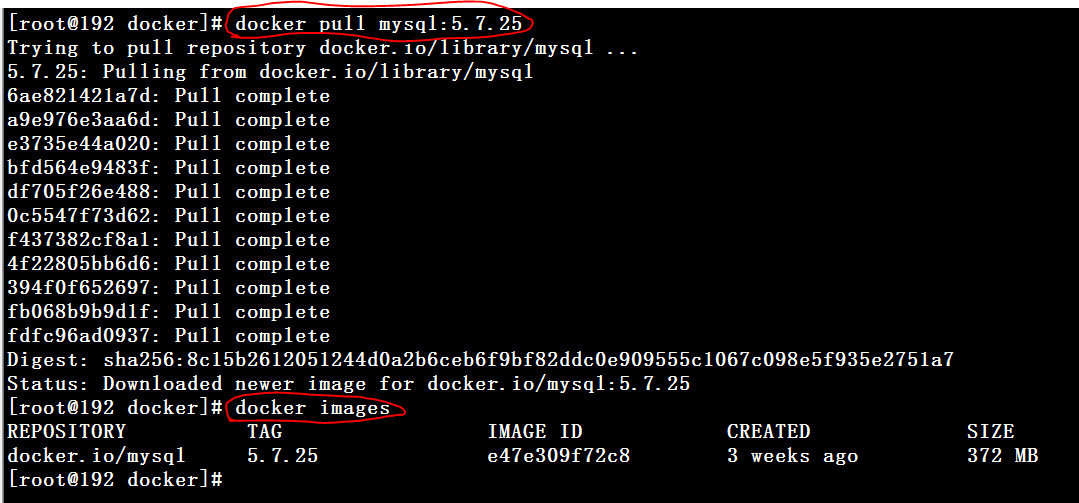 docker 拉取镜像_docer pull如何继续拉取-CSDN博客