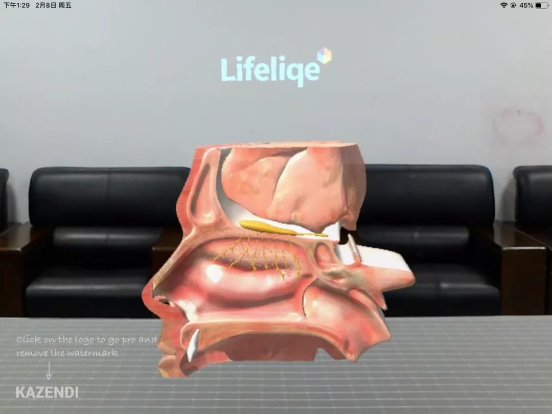 走进Hololens教学应用Lifeliqe 感受神奇的科学世界_hololens 实训教学-CSDN博客