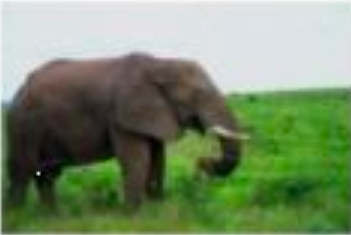 【论文笔记】Weakly supervised multiple instance learning histopathological tumor segmentation_MC ...