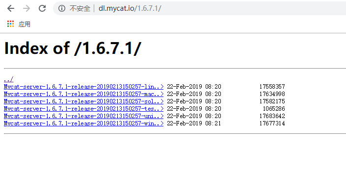 Mycat安装与配置详解_mycat-server-1.6.7.1-release-20190213150257-linux.-CSDN博客