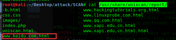 Kali uniscan--简单强大web扫描器（详解）-CSDN博客
