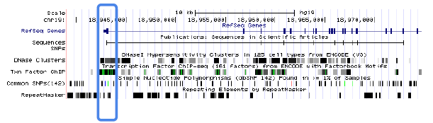 Bioconductor学习_基因组坐标体系-Granges和IRanges_r granges-CSDN博客