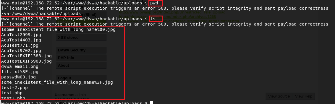 kali下的webshell工具--weevely_weevely报错-CSDN博客