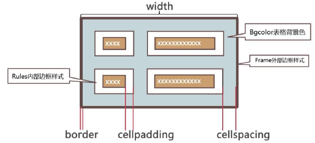 HTML表格（table、tr、td、th、thead、tbody、tfoot标签）_thead tbody tfoot tr td th ...