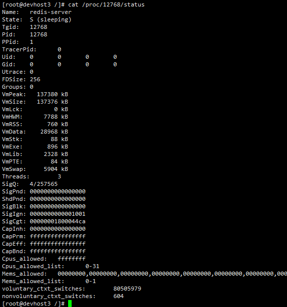 Linux搜索进程id，通过proc文件系统，查看进程运行所在路径和运行状态等信息 Csdn博客 