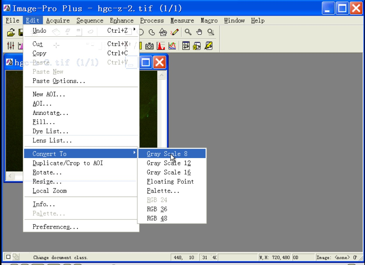 Image Pro Plus6进行荧光分析与荧光照片合成学习笔记_image-pro plus 6.0-CSDN博客