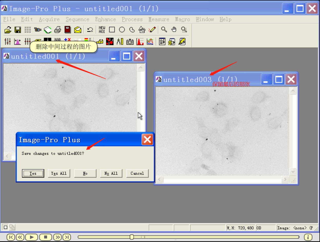 Image Pro Plus6进行荧光分析与荧光照片合成学习笔记_image-pro plus 6.0-CSDN博客