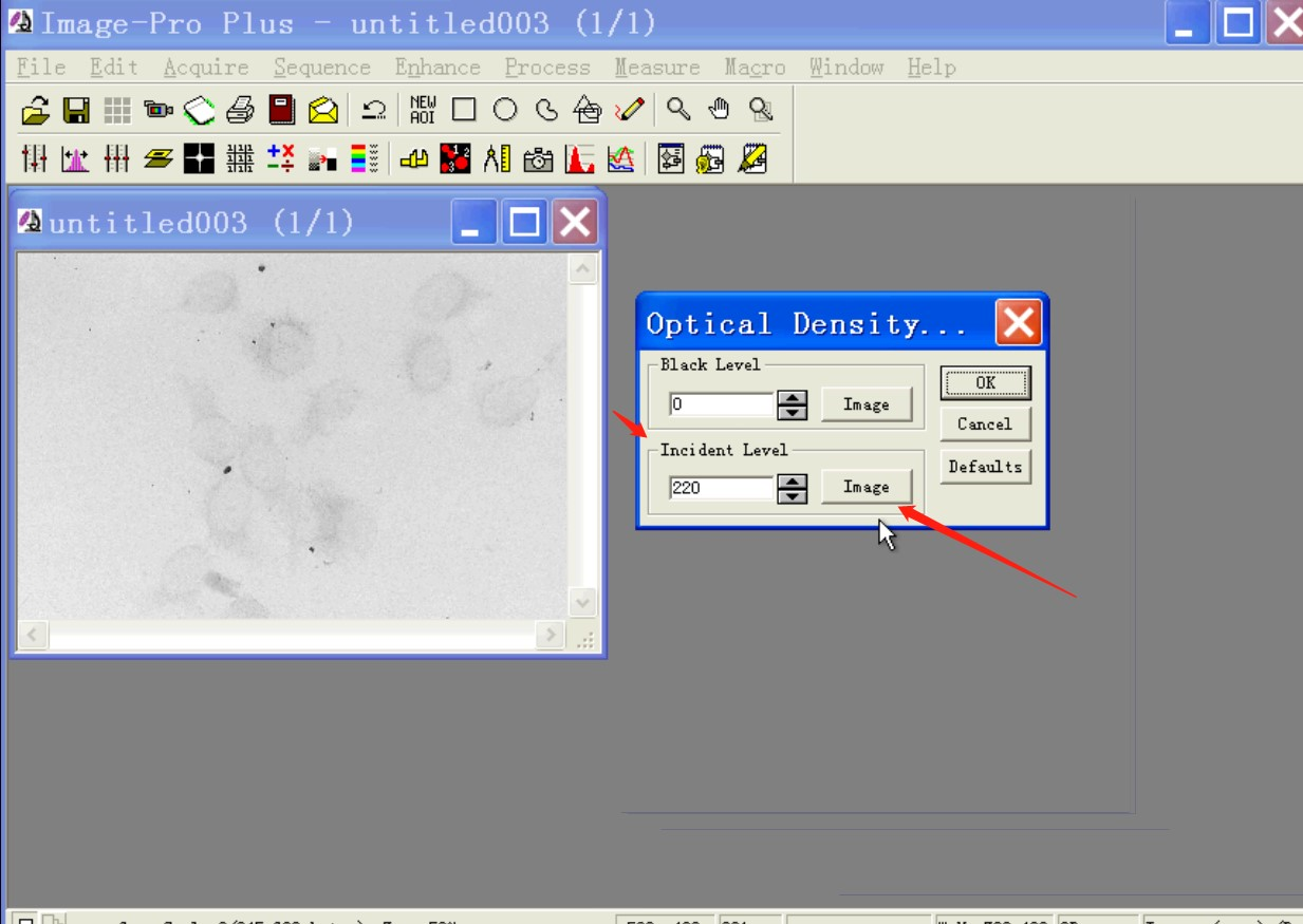 Image Pro Plus6进行荧光分析与荧光照片合成学习笔记_image-pro plus 6.0-CSDN博客