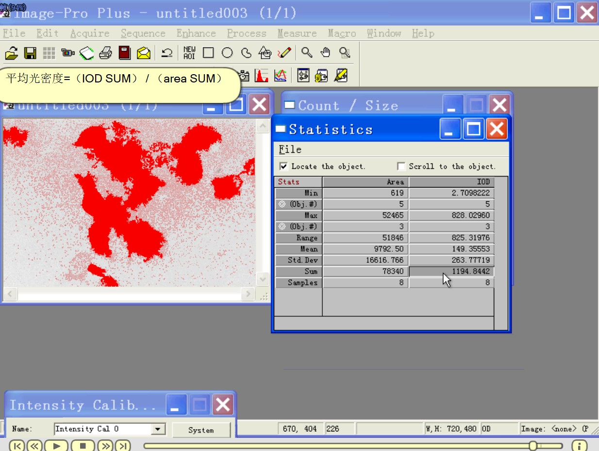 Image Pro Plus6进行荧光分析与荧光照片合成学习笔记_image-pro plus 6.0-CSDN博客