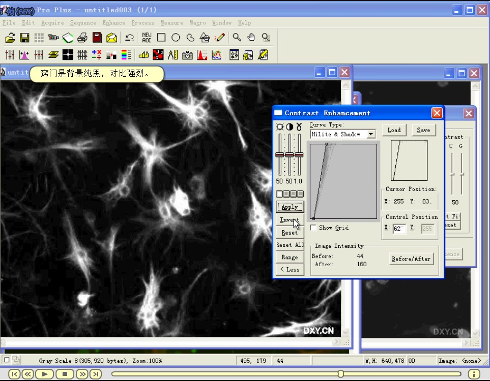Image Pro Plus6进行荧光分析与荧光照片合成学习笔记_image-pro plus 6.0-CSDN博客