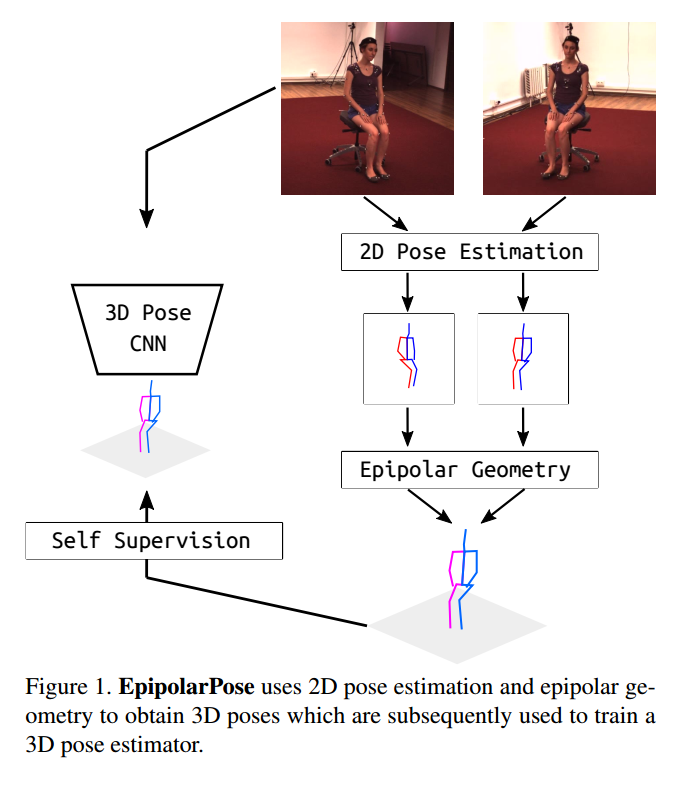 CVPR 2019 Self-Supervised Learning of 3D Human Pose using Multi-view ...