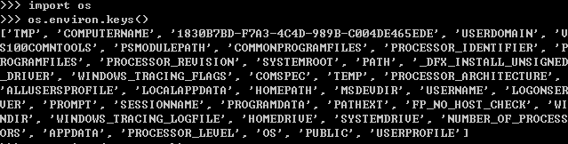 Python中的os.environ()_os.environ keyerror-CSDN博客