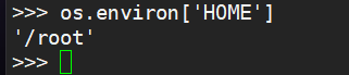 Python中的os.environ()_os.environ keyerror-CSDN博客